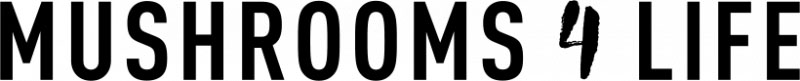 About Us - MK Pharma